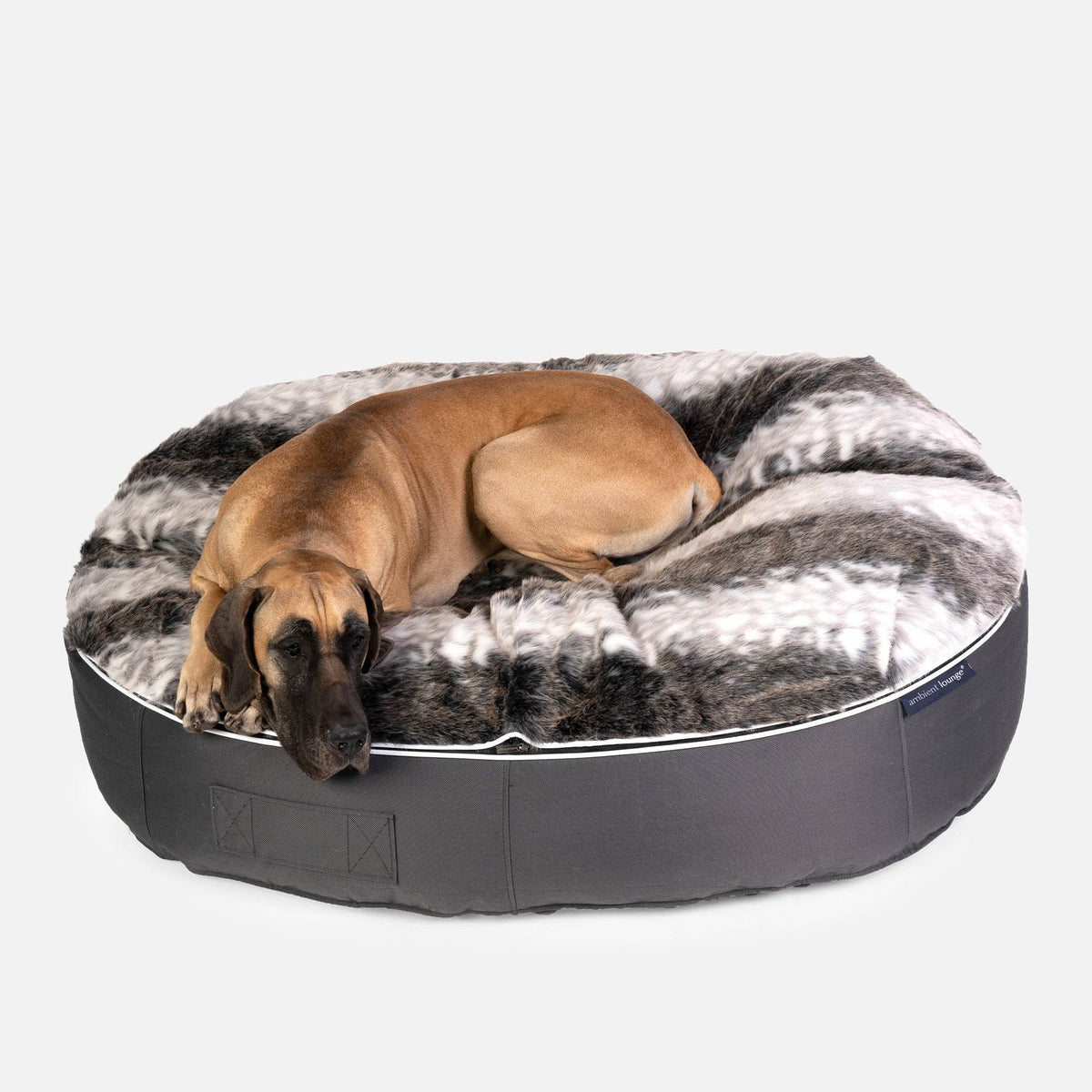 XXL Dog Bed | Luxury Chew-Resistant Bed for BIG Dogs by Ambient Lounge ...